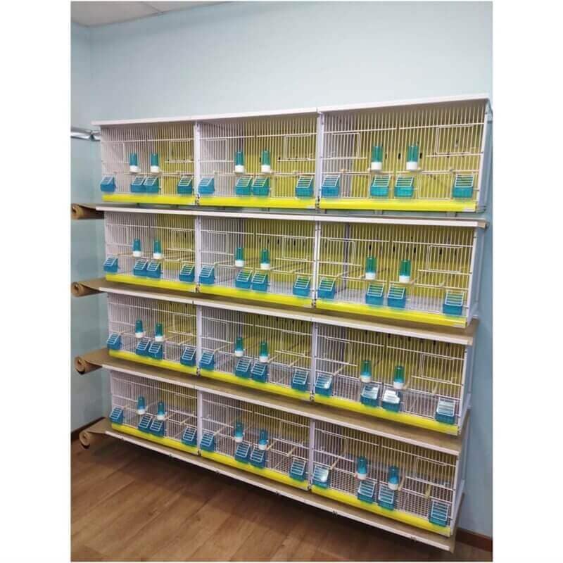 Breeding Cages for Captive Birds